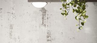Boost Paint - Minoli