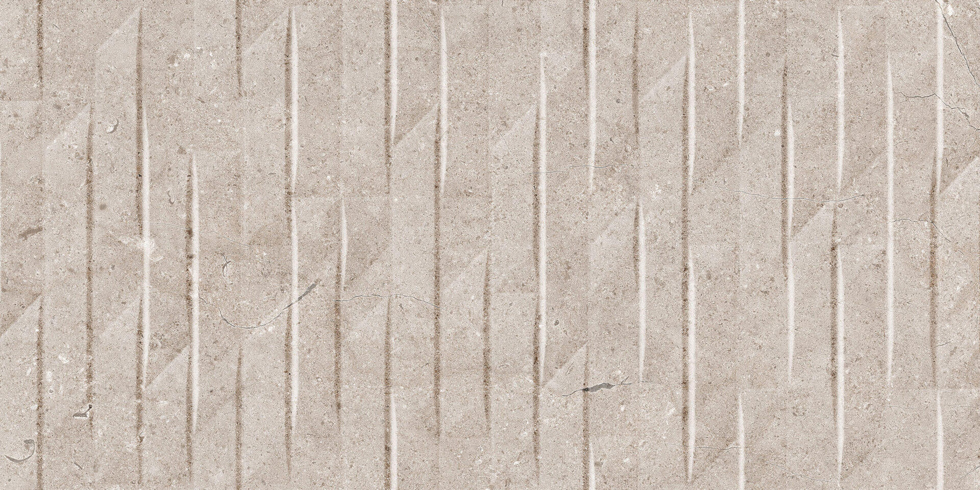 Dual Tortora - Minoli