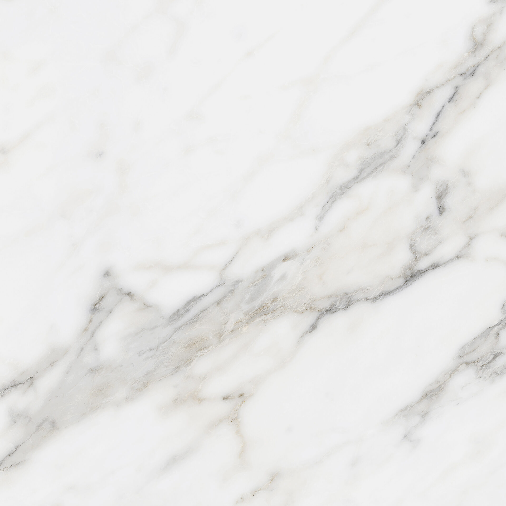 Magnus Calacatta White - Minoli